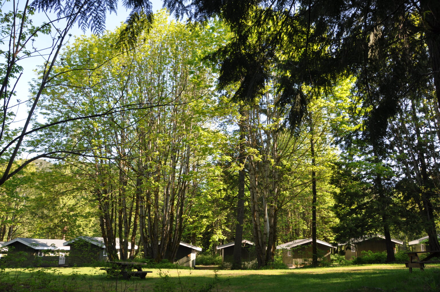 Squamish Cabin Rentals - Sunwolf Riverside Resort
