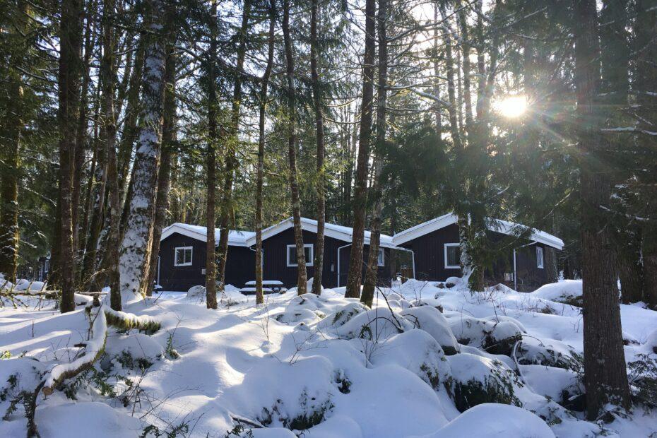 Sunwolf Riverside Resort