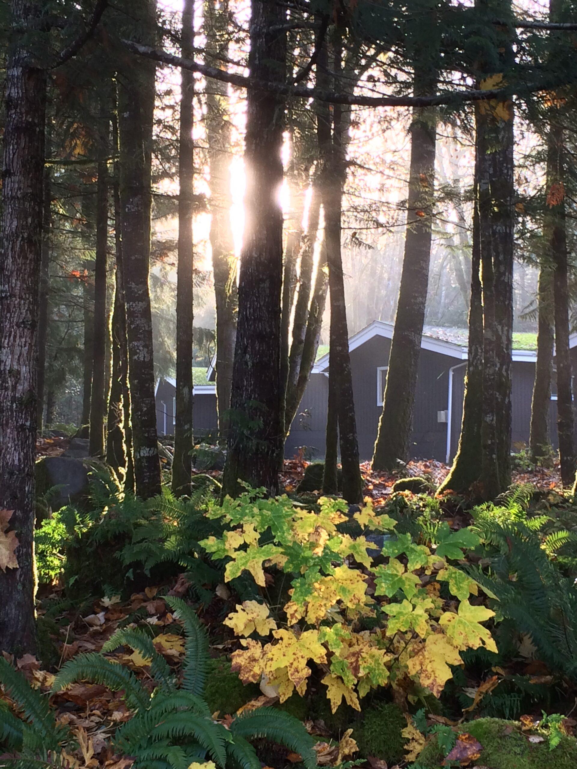 Sunwolf Riverside Resort